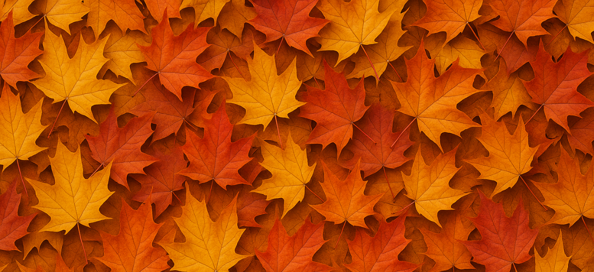 5 Fall Tips for a Perfect Lawn | SWARDMAN